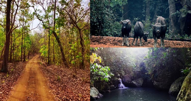 Kuldiha Wildlife Sanctuary